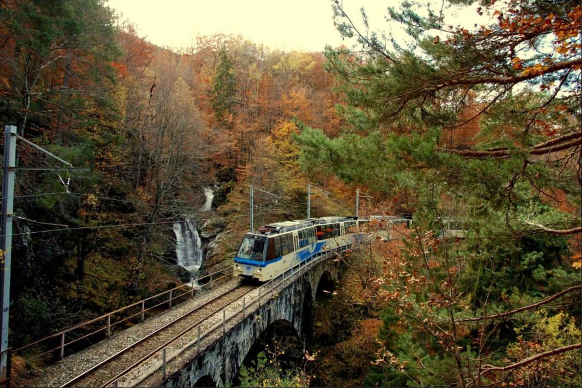 Se reabren las reservas para el tren Foliage, uno de los más otoñales ...