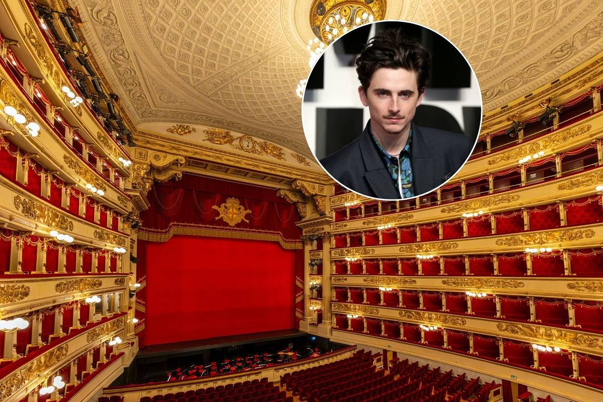 "Nobody cares anymore" - Timothée Chalamet against ballet and opera ...
