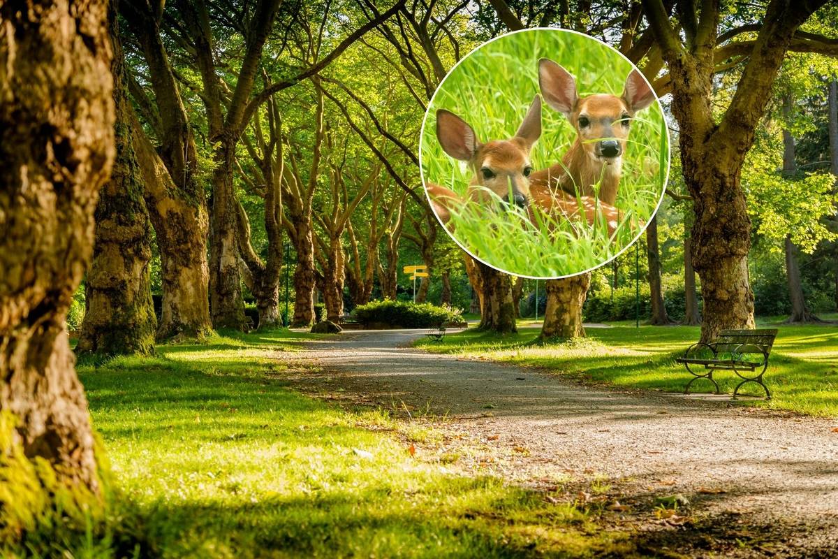 It feels like being in a nature reserve, yet it’s just 20 kilometers ...