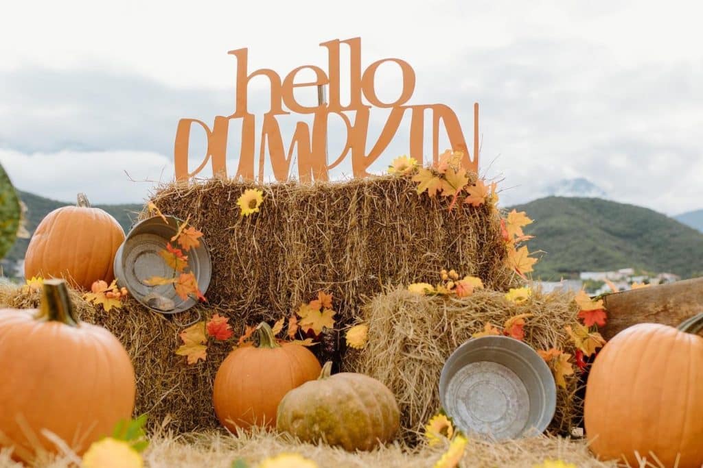 Pumpkin Dash, el festival temático del otoño ya tiene fecha