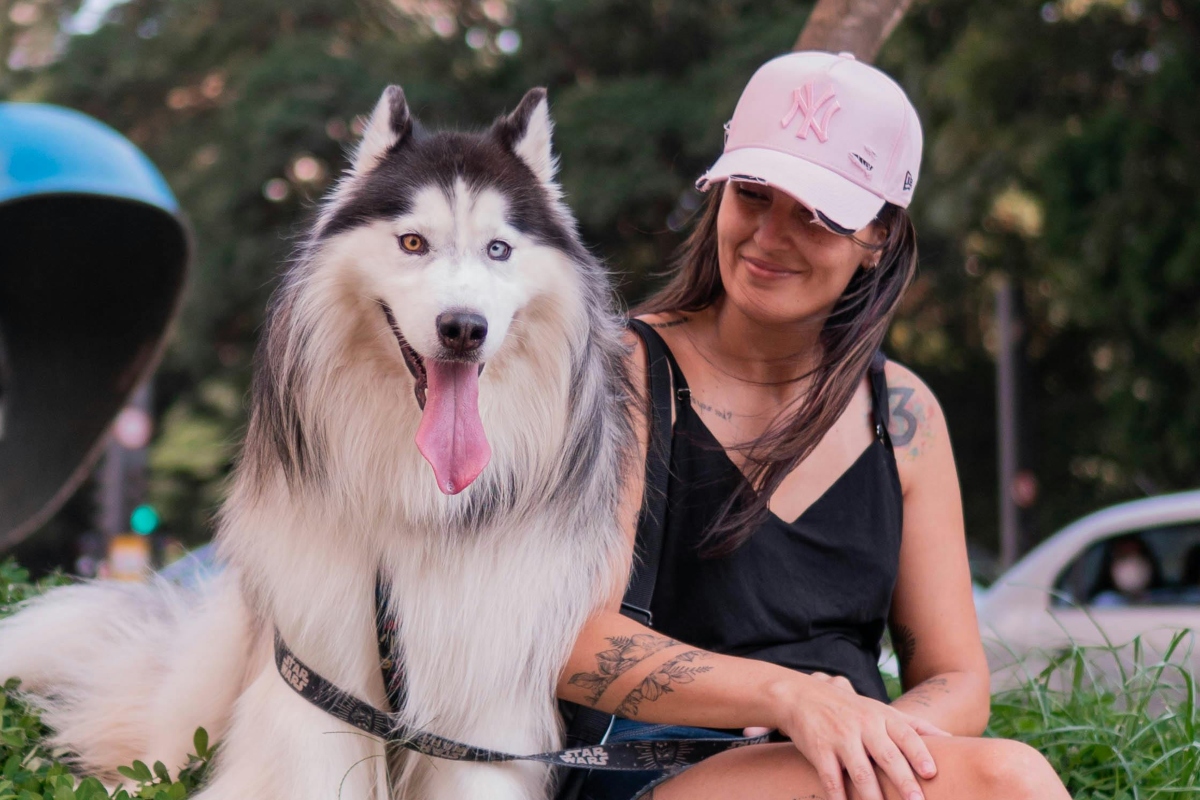 Festival Canino Parque Rufino Tamayo: música, mercadito y diversión ...