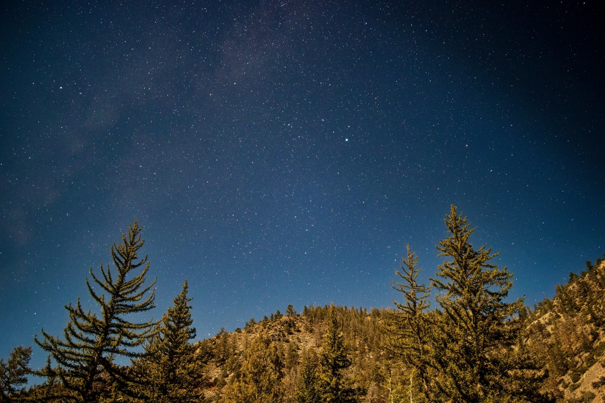 Estanzuela Bajo las Estrellas: descubre el universo desde el bosque por ...