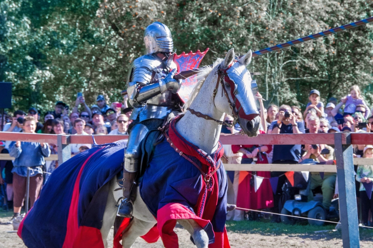 Por 150 pesos el día: el Festival Medieval de Papalotes Gigantes llega ...