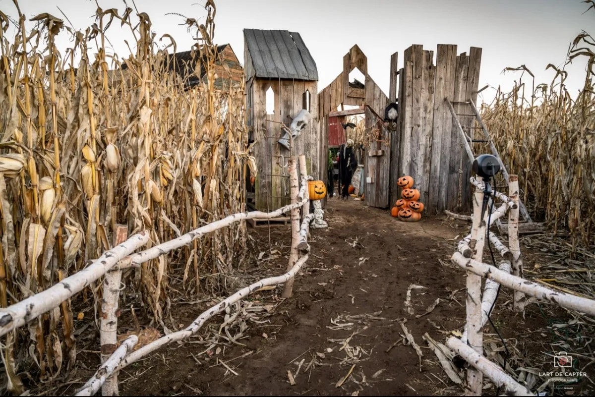 Voici les 20 meilleures activités à faire pour l'Halloween à Montréal
