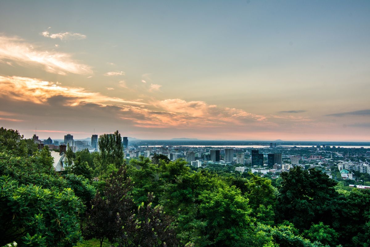 The Top Spring Hikes In Montreal