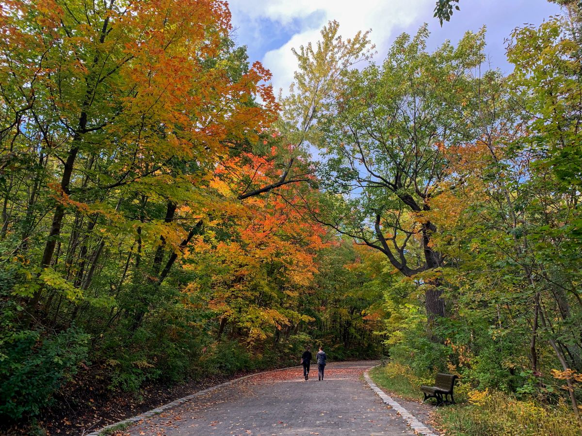 Cette carte interactive vous montre tous les sentiers de randonnée à ...