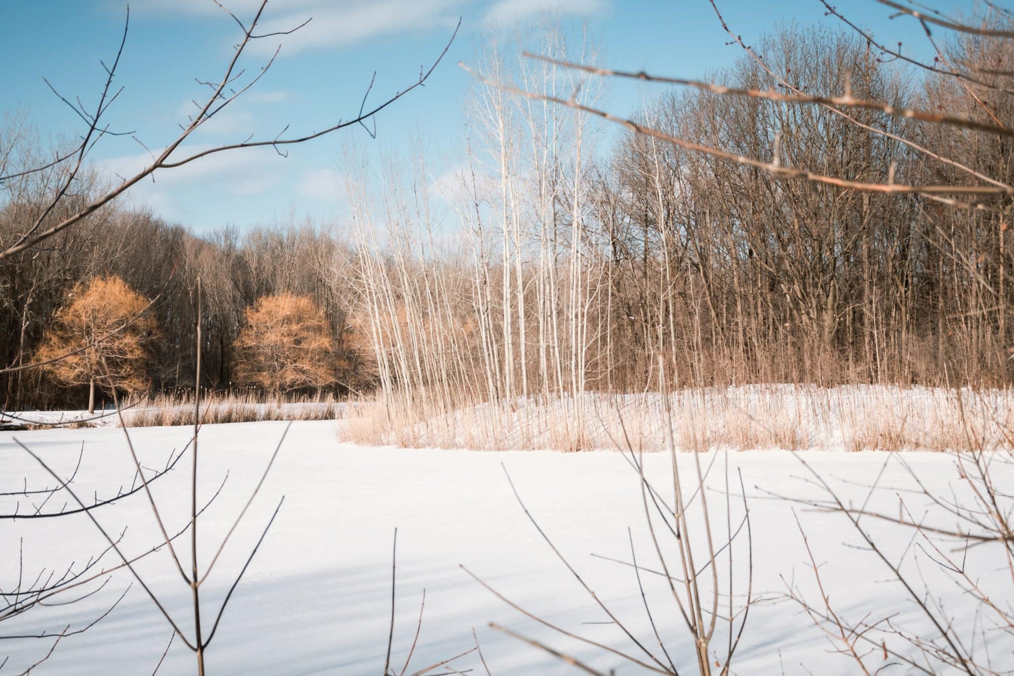 Voici 11 parcs à Montréal à visiter durant l'hiver - Montréal Secret