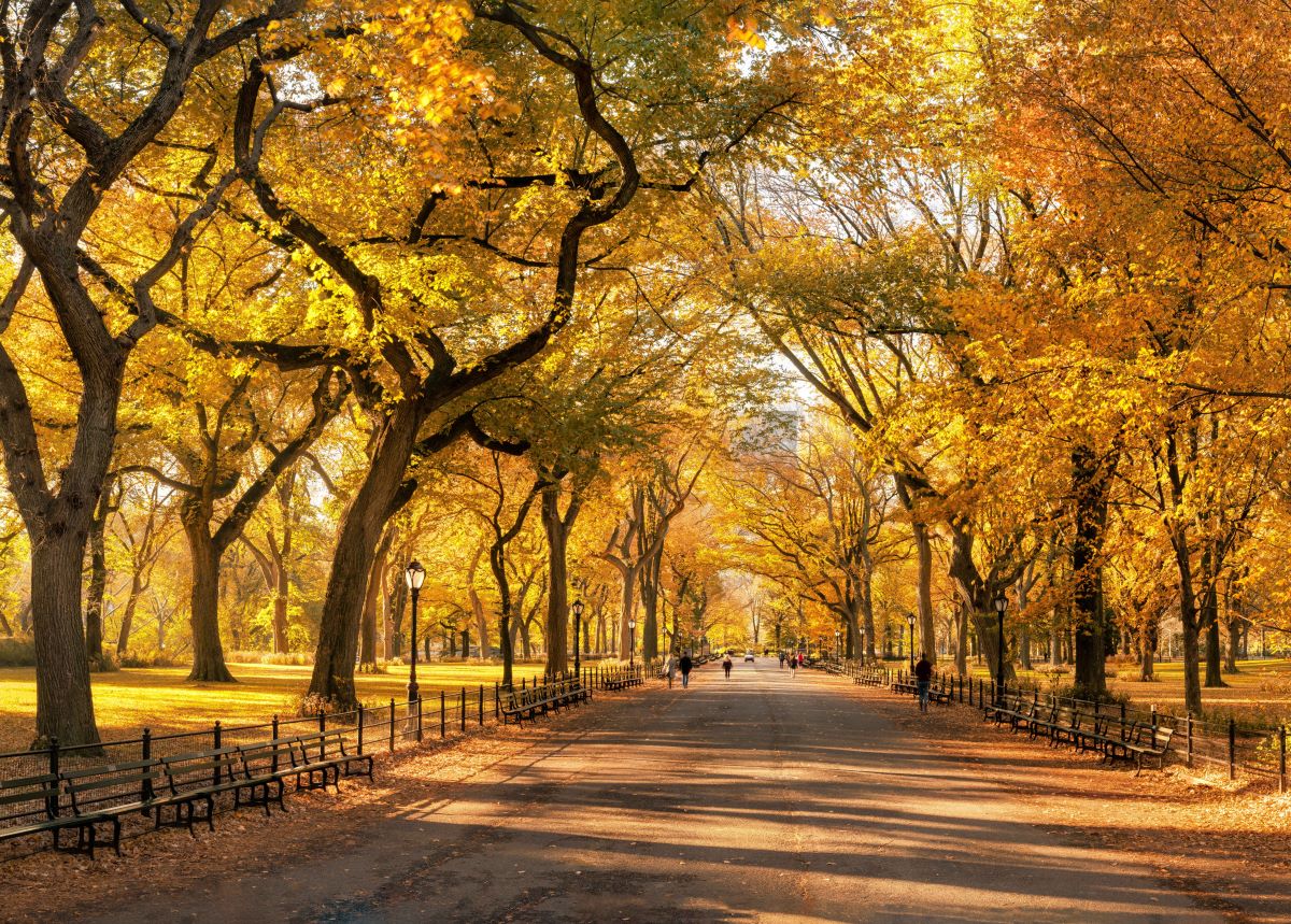 10 autumn films to watch this season