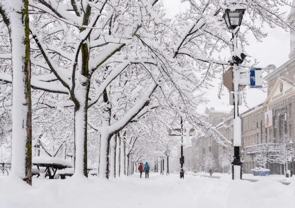 EN IMAGES : La tempête du 16 décembre à Montréal