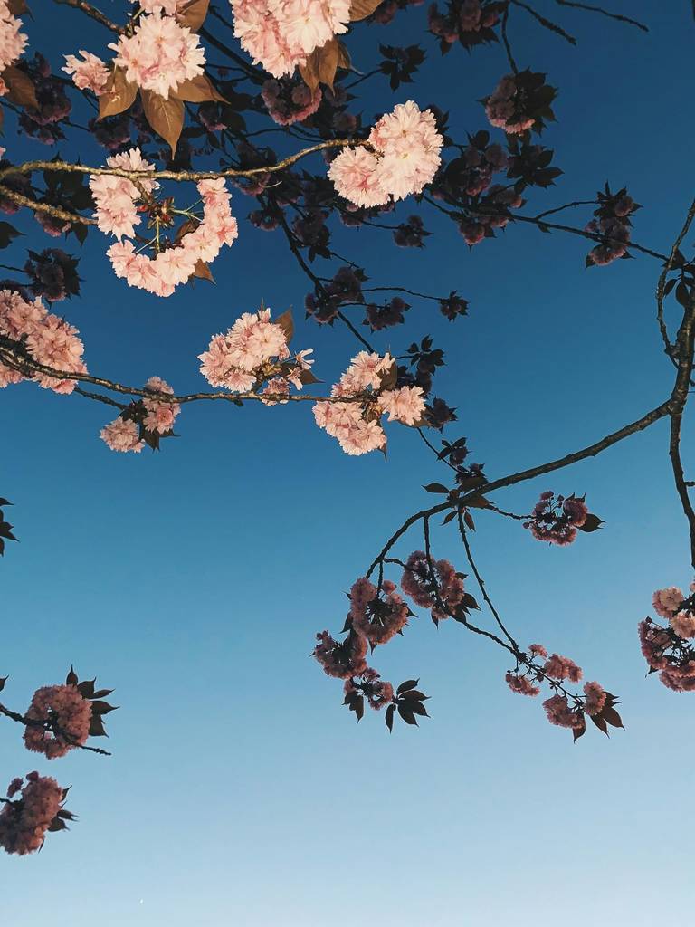 This weekend in Montreal: May 31 and June 1