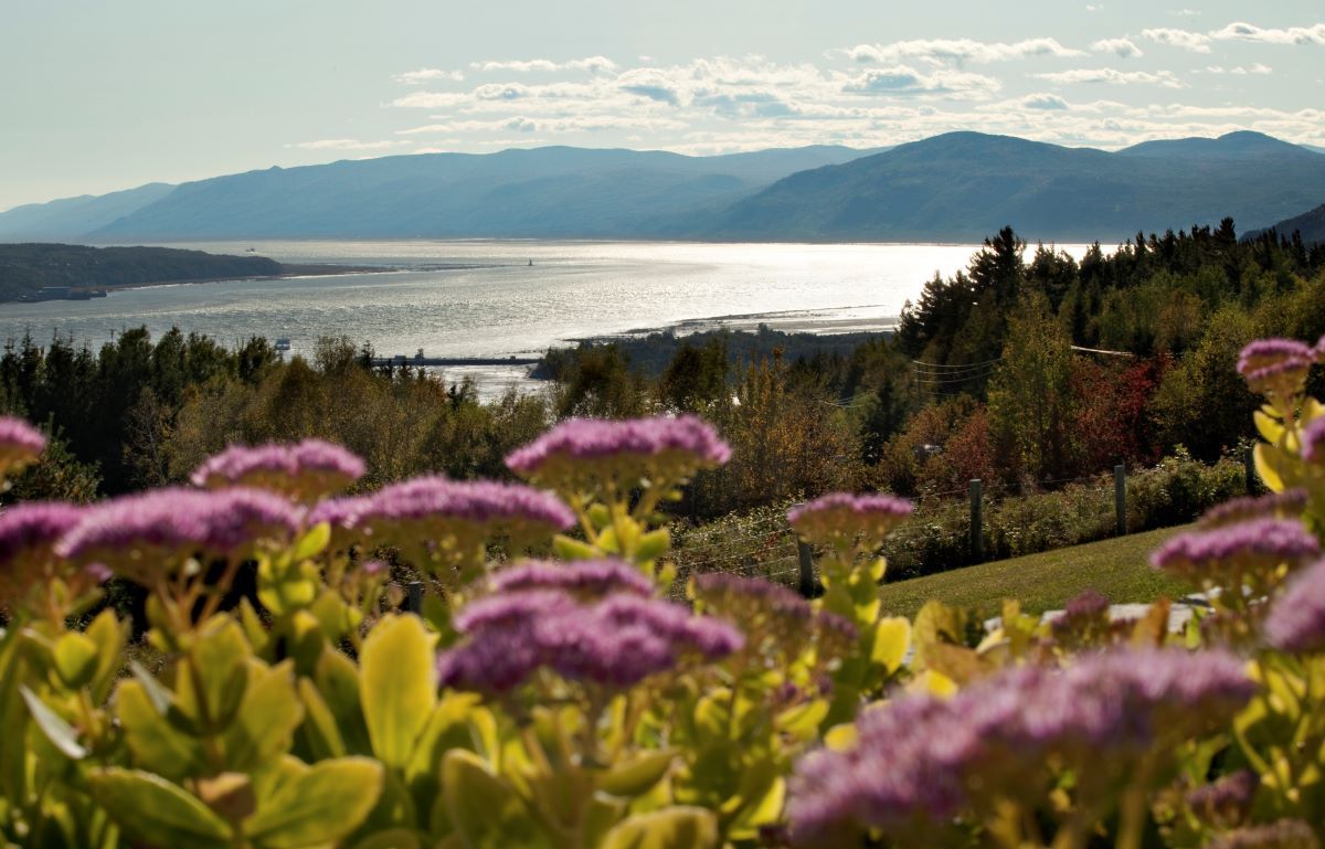 This village, less than a 4-hour drive from Montreal, is where beach ...