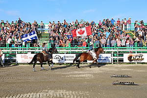 Summer Rodeo Guide 2025