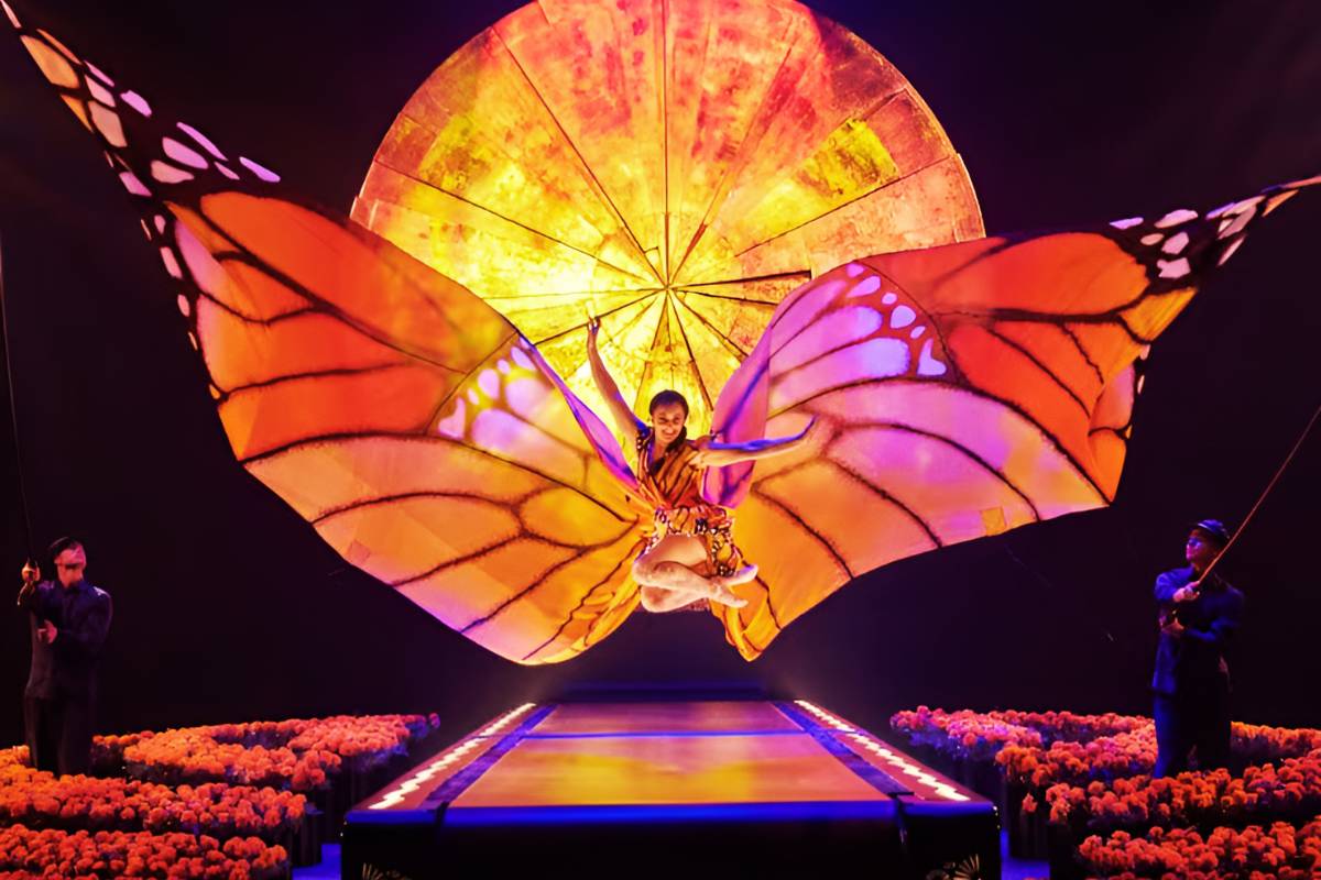 LUZIA: a Cirque du Soleil show in Montreal