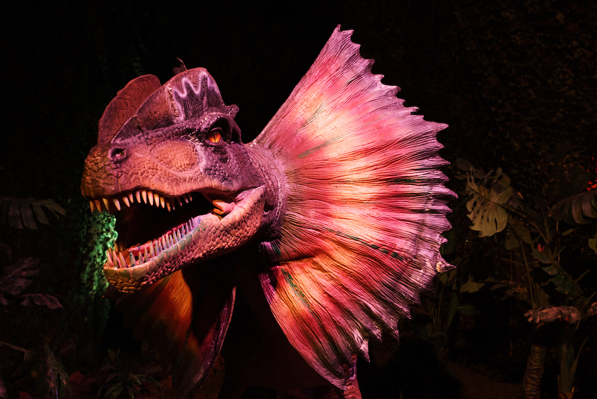Rencontrez les dinosaures qui ont foulé notre planète à Dinos Alive
