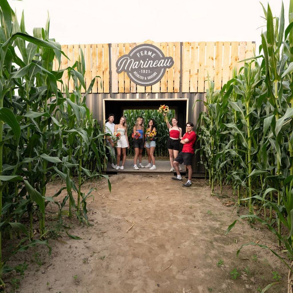 This farm 30 minutes from Montreal has one of the best corn mazes in ...