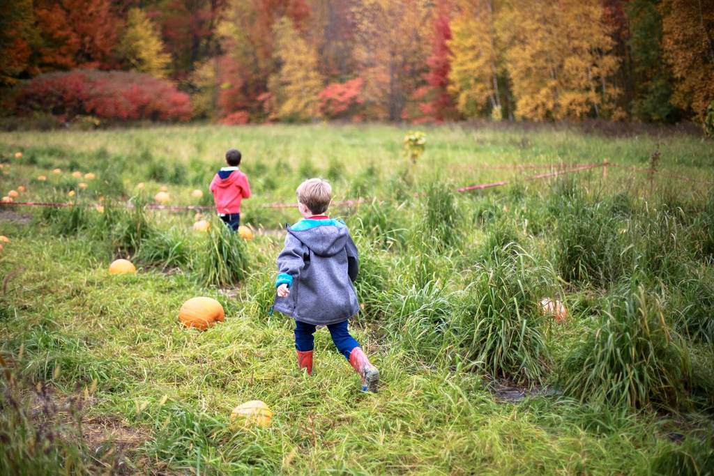 Where to go pumpkin picking near Montreal before Halloween?