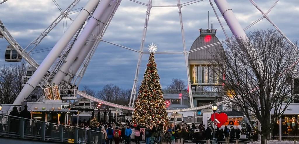 The biggest tree in Montreal's Old Port lights up this weekend