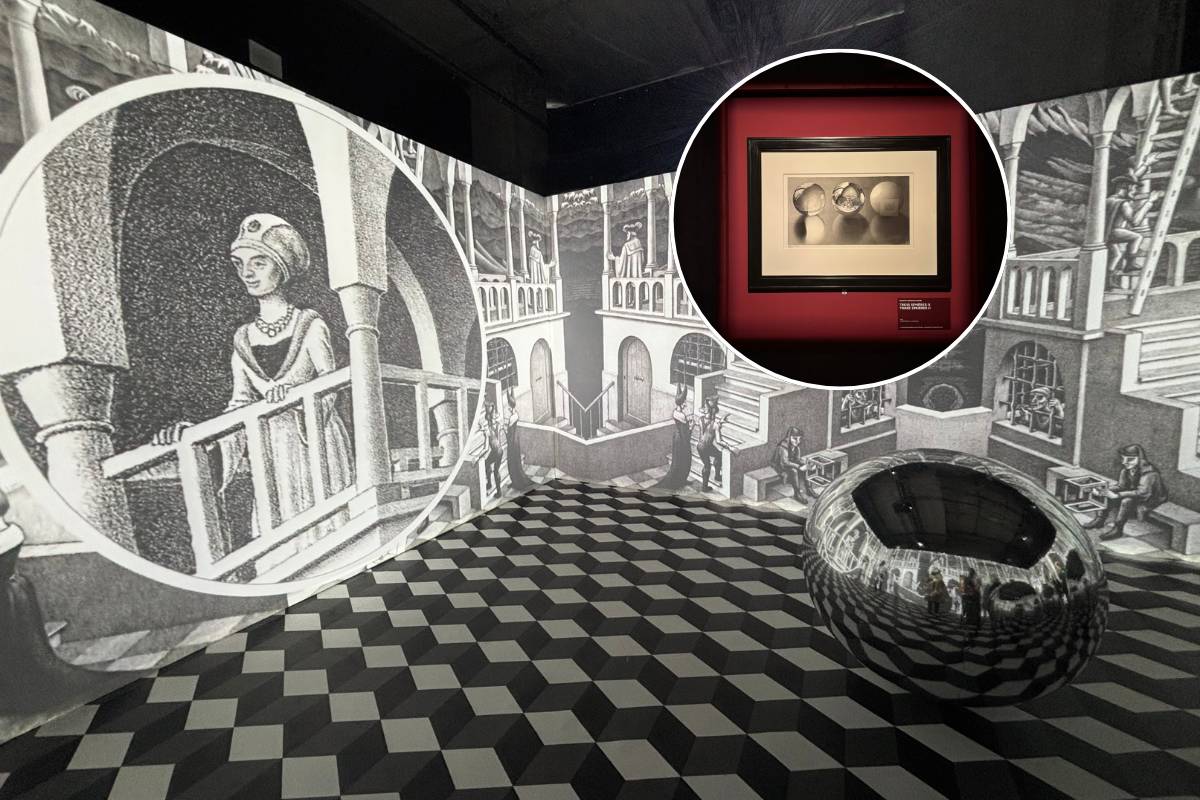 The M.C. Escher Exhibition: the must-see exhibition dedicated to the ...