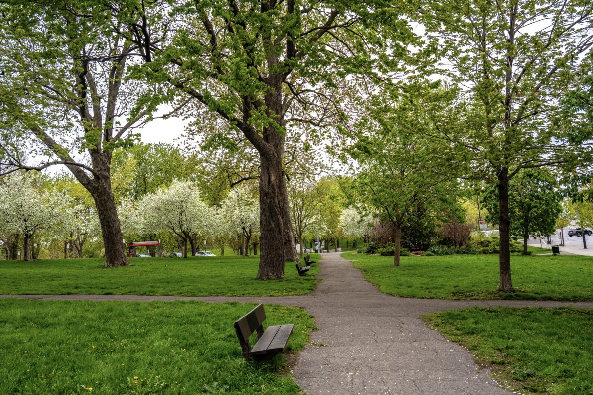 Weather forecast for spring 2026 in Montreal