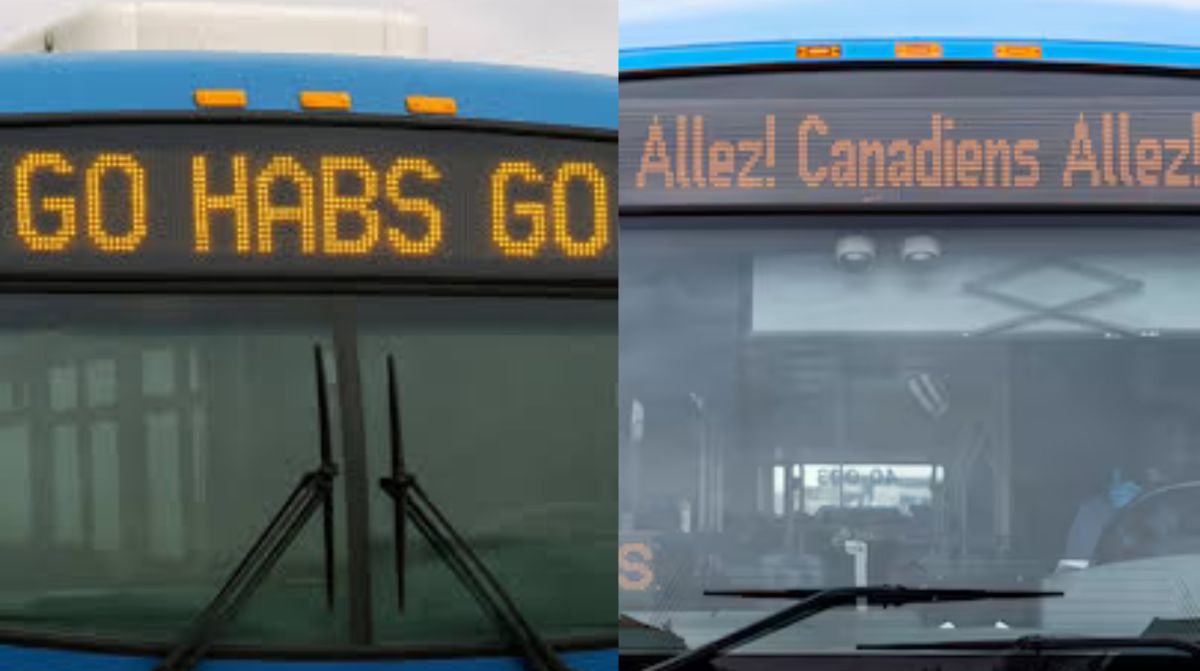 "Go Habs Go!" will soon be back on Montreal buses.