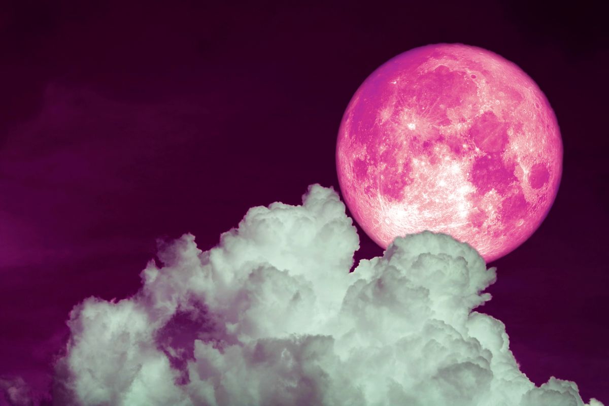 Pink Moon - the full moon in April