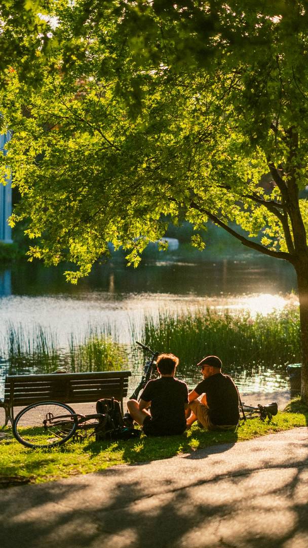 Jazz Clubs in Montreal: 2026 Guide to Must-Visit Spots