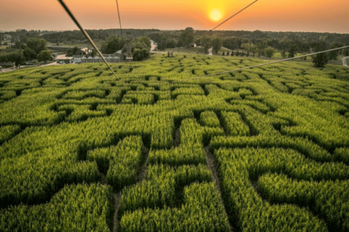 Pop Corn Labyrinthe : un escape-game dans un champ de maïs