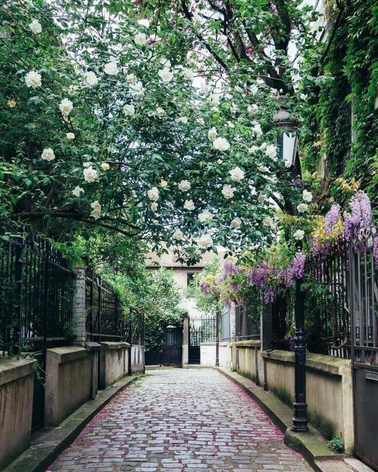 Voici les plus belles rues de Paris où vous balader