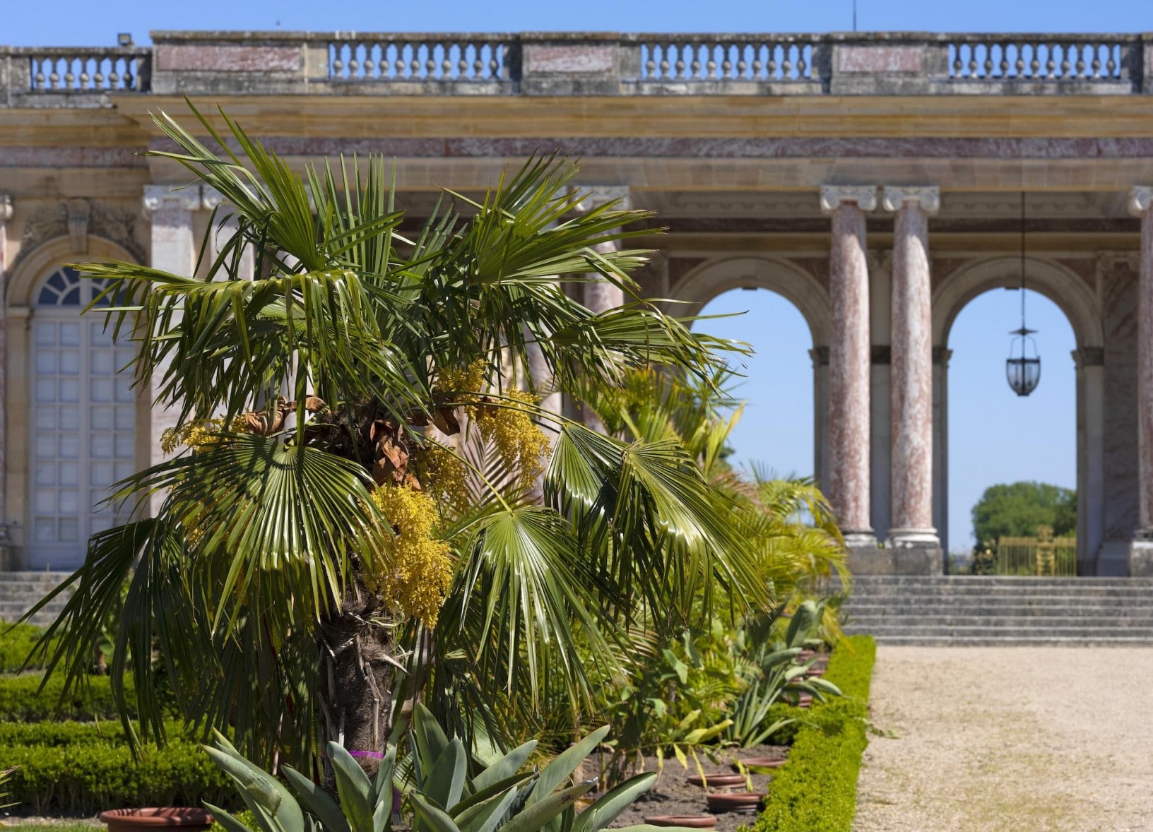 Le Grand Trianon de Versailles transforme son jardin en jardin africain ...