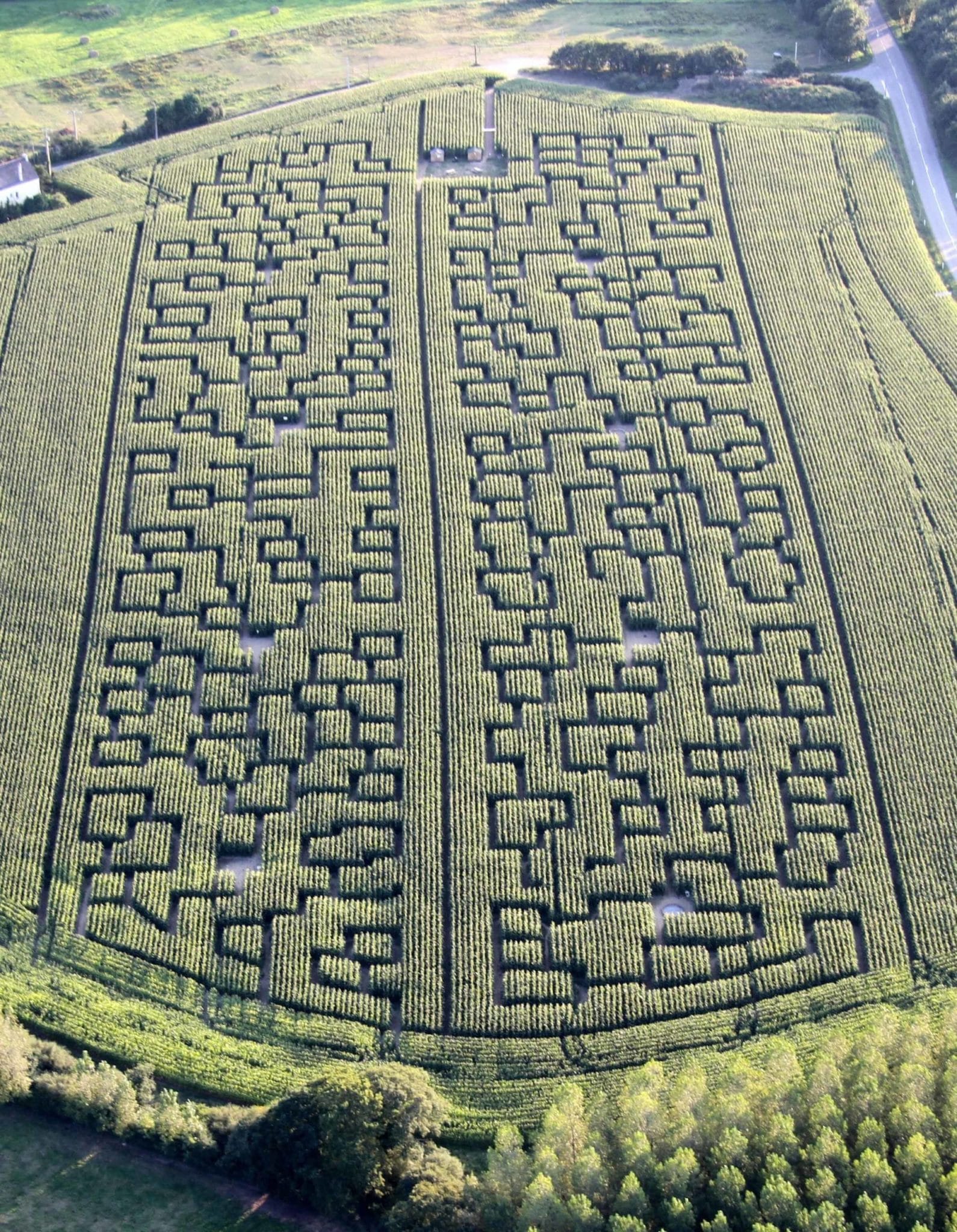 Pop Corn Labyrinthe : un labyrinthe géant dans un grand champ de maïs ...
