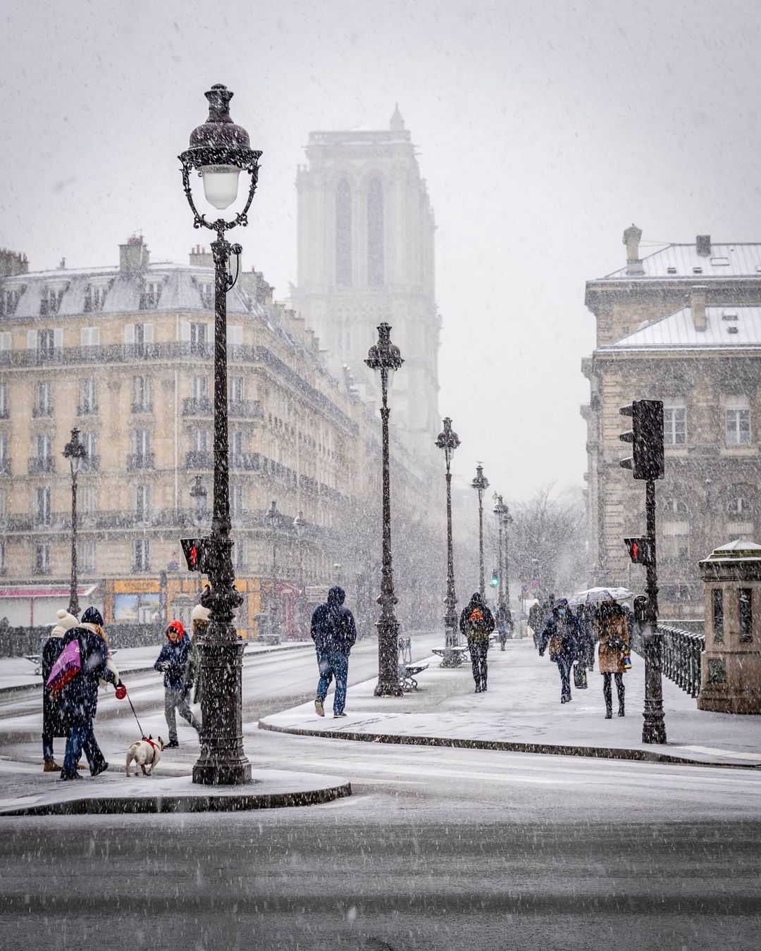 Les plus belles photos de la neige à Paris ce samedi 16 janvier 2021