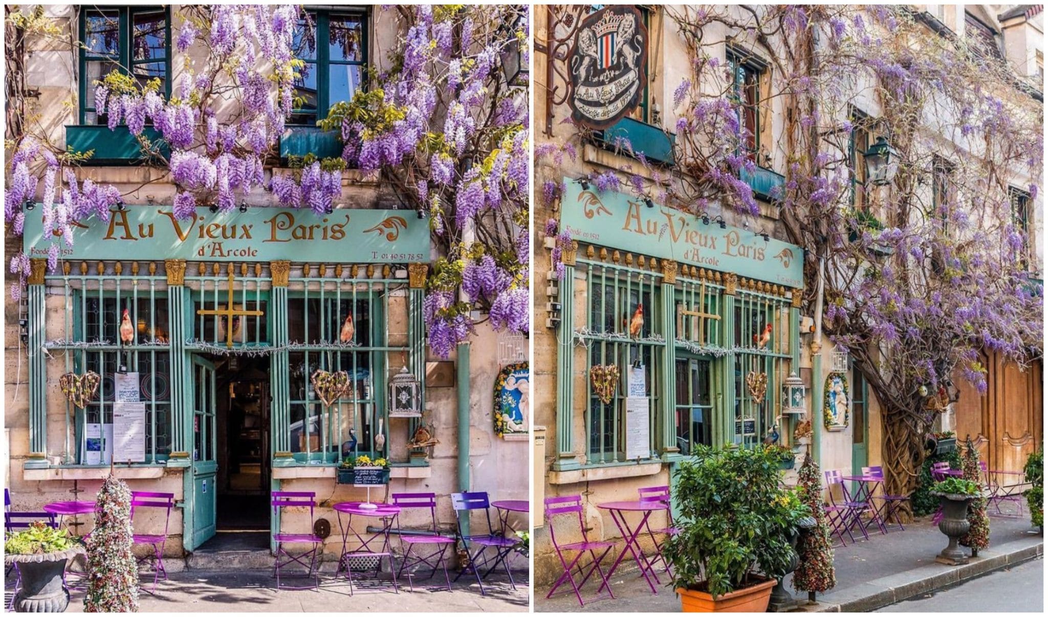 Spring: where to admire the most beautiful trees in bloom in Paris?