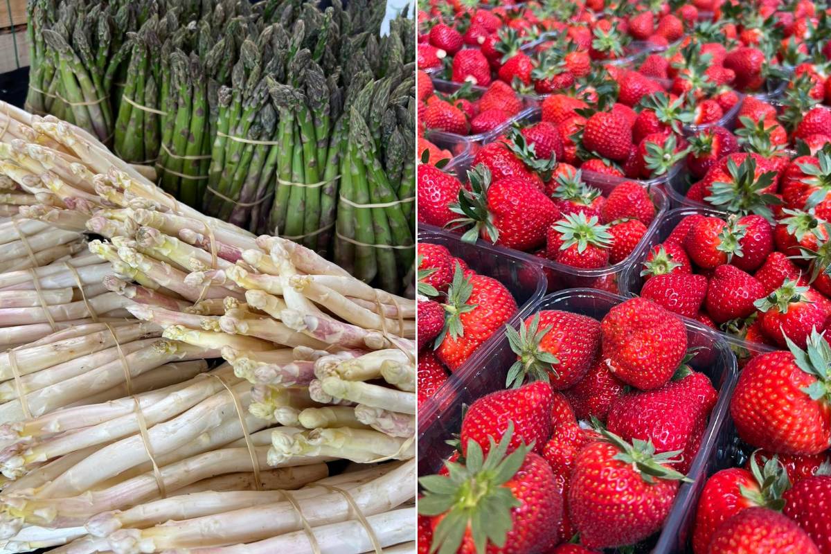 Where Can You Pick Your Fruit And Vegetables around Paris