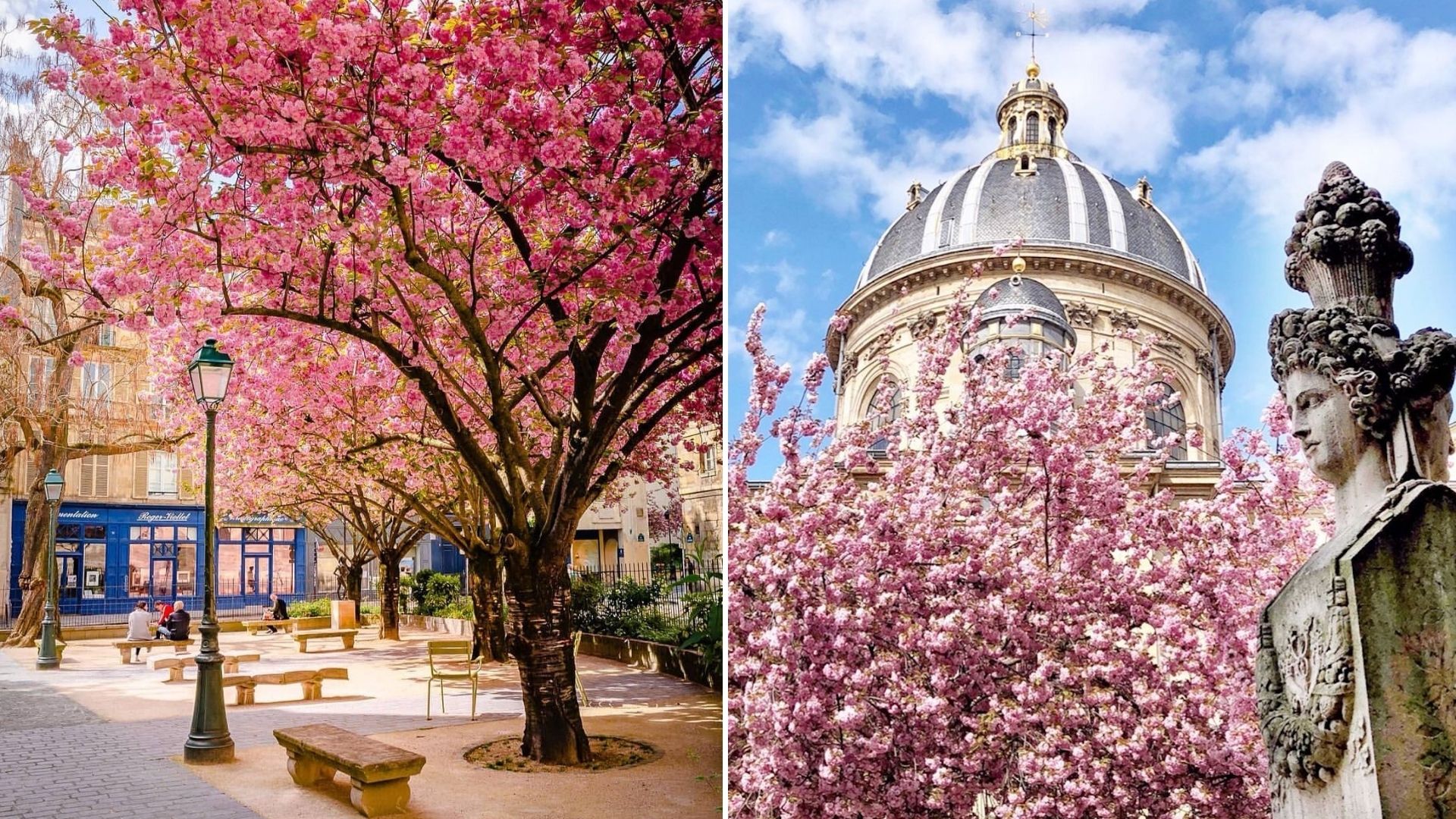 Le square Gabriel Pierné, un jardin enchanté et secret au cœur de Saint ...