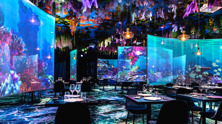 Under The Sea : le restaurant immersif ambiance sous-marine
