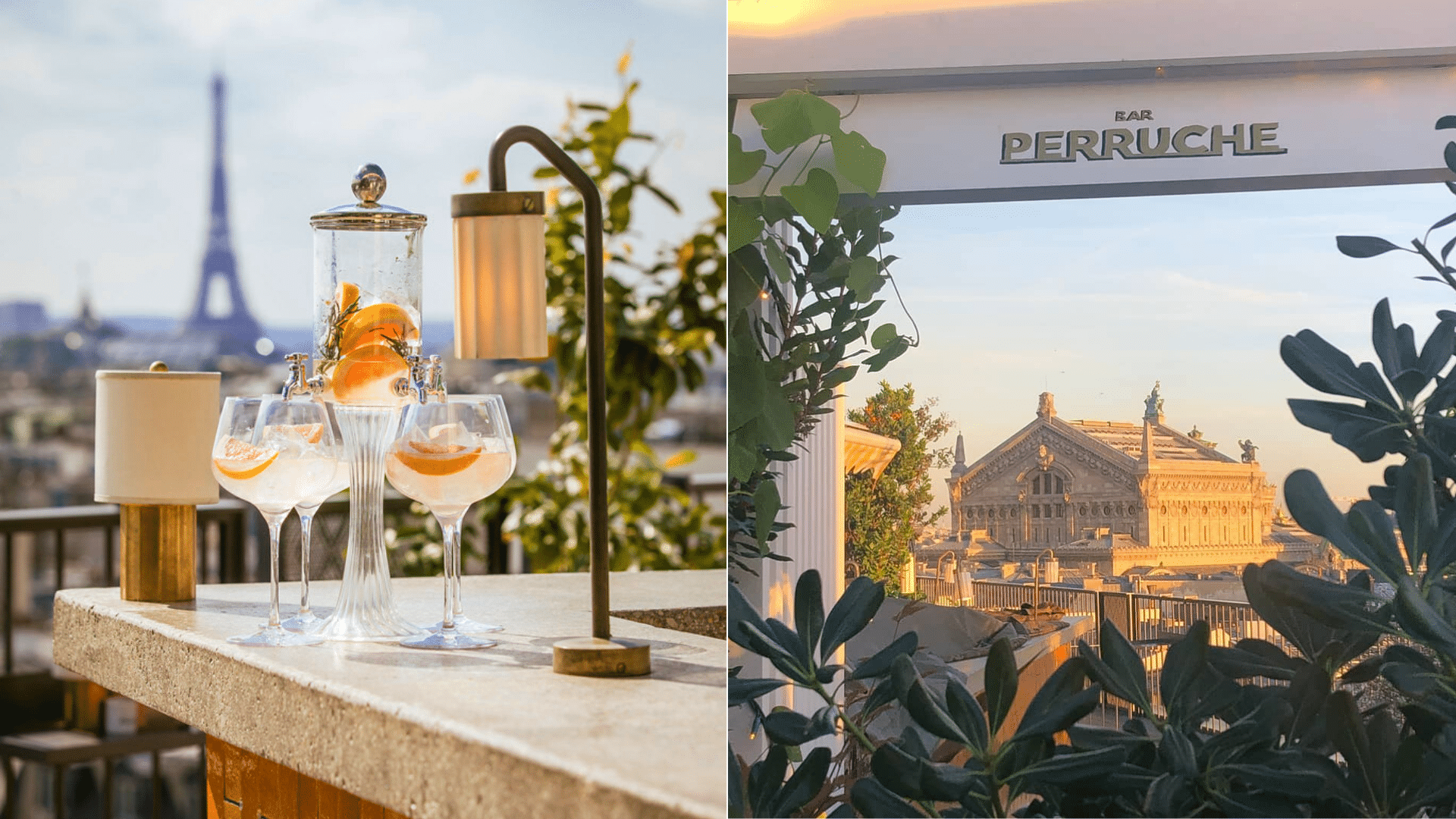 Le splendide Rooftop du Printemps Haussmann "Perruche" rouvre ses portes