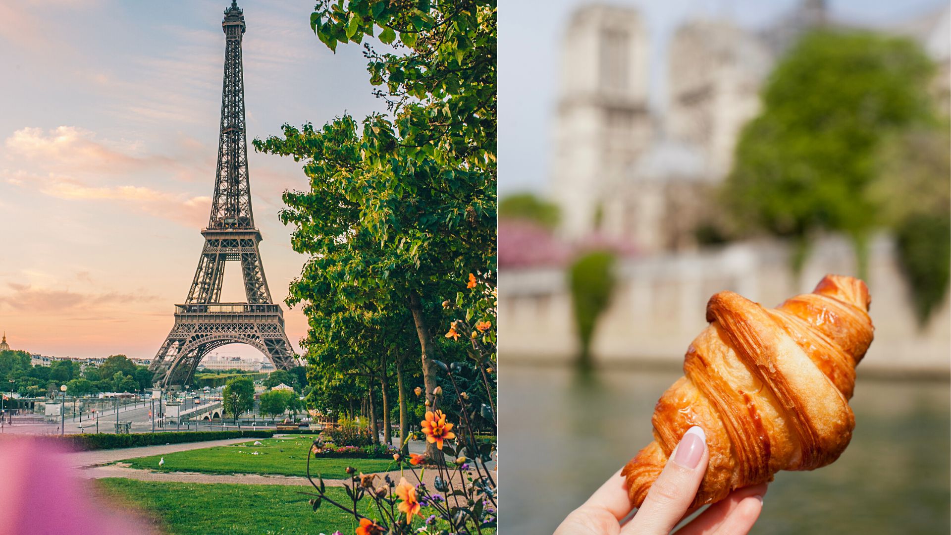 ¿Dónde Encontrar Los Mejores Cruasanes De París? ¡Los Premios 2023!