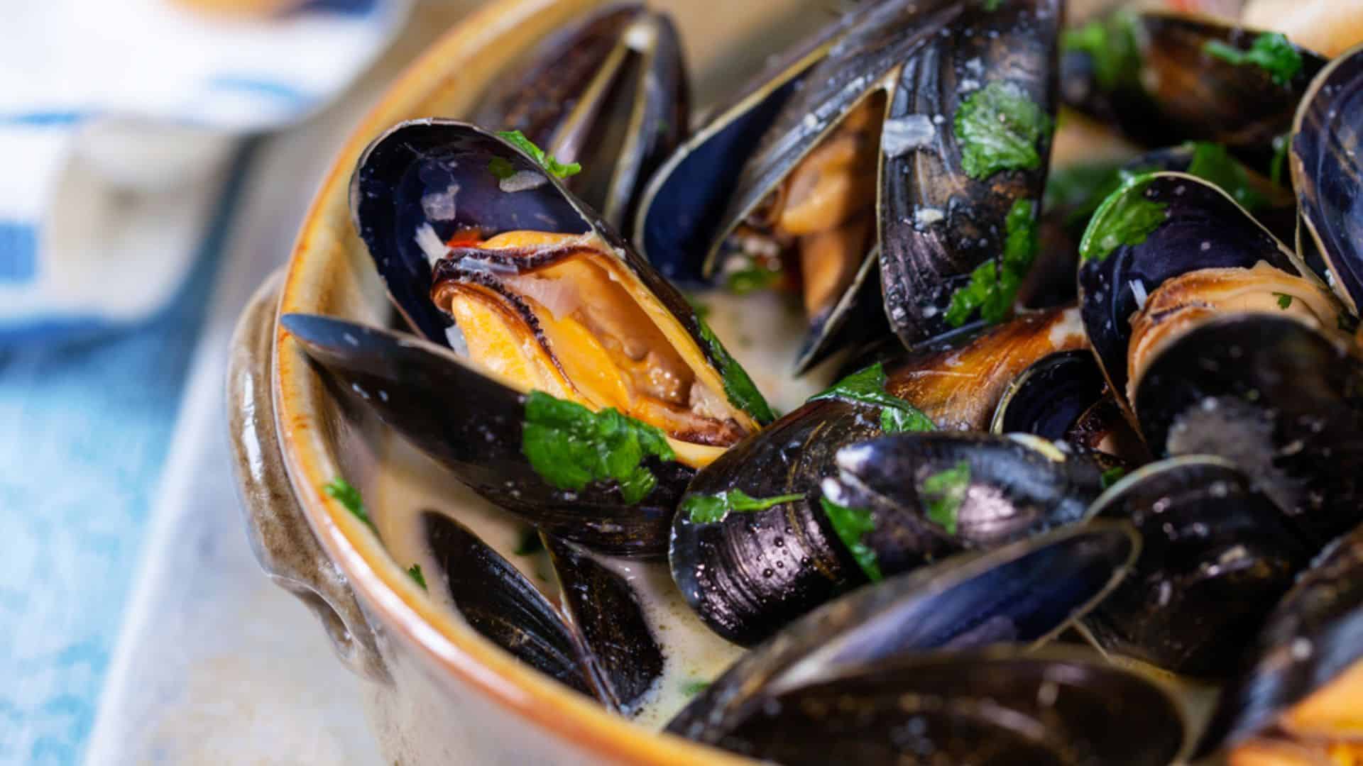 Food : la grande fête de la moule revient à Paris
