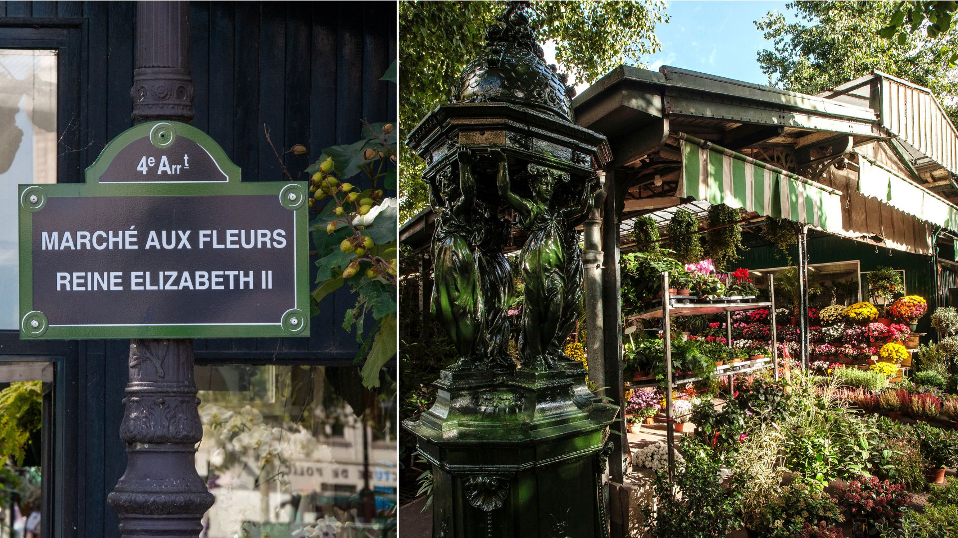 Le Marché aux fleurs Reine Elizabeth II, une balade bucolique ...