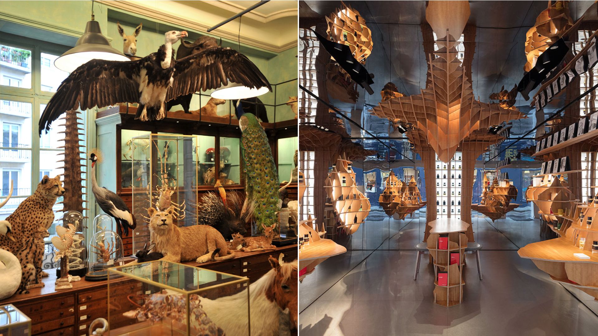 Les 7 boutiques et magasins les plus insolites de Paris - Paris Secret
