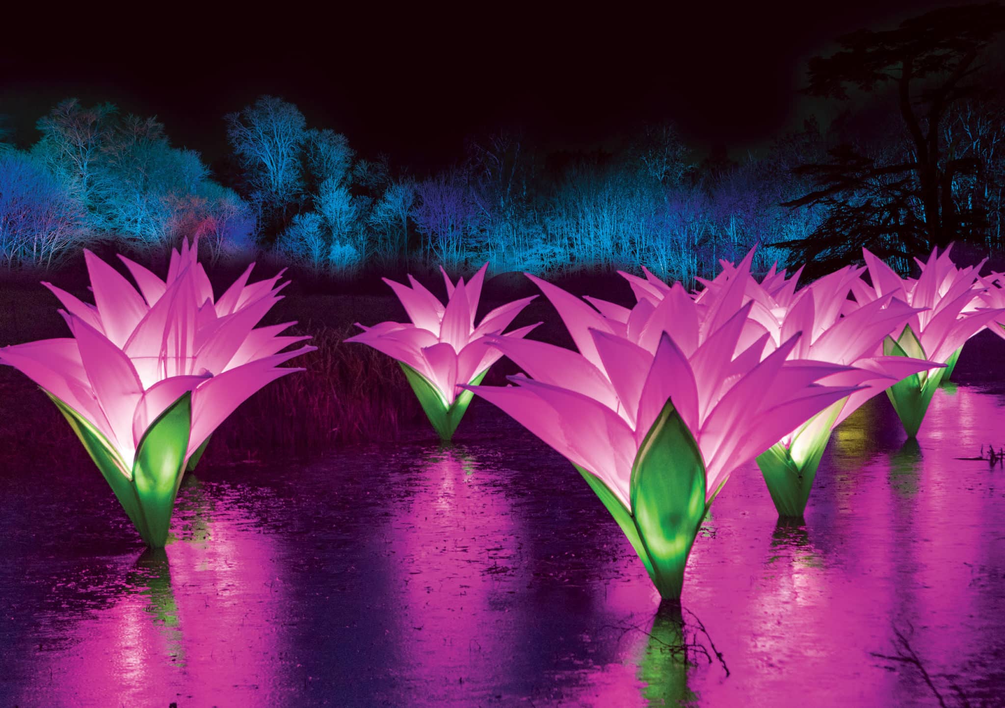 Les Sentiers Lumineux de Noël : un nouveau parcours immersif féérique ...