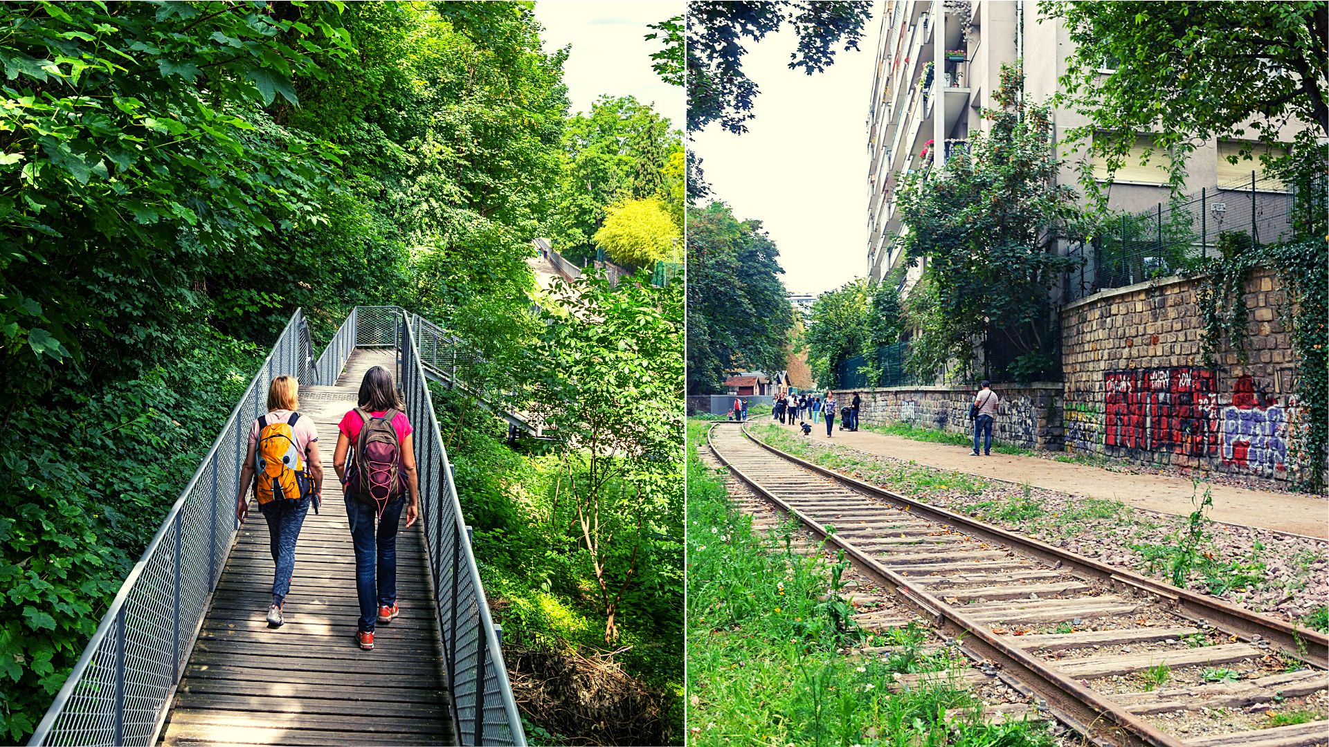 15e arrondissement : balade au fil de l'agréable Petite Ceinture