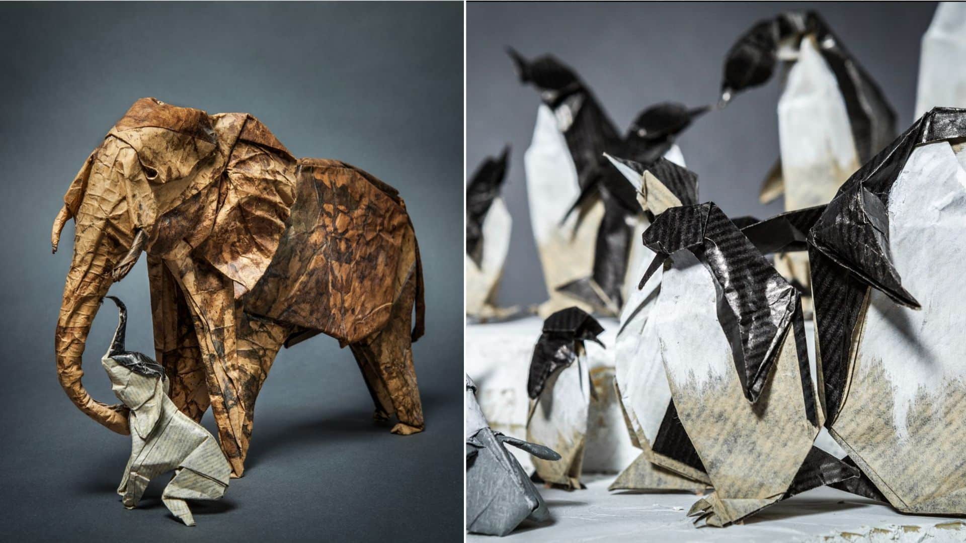 Zoo de papier : une formidable expo sur l'art de l'origami - Paris Secret