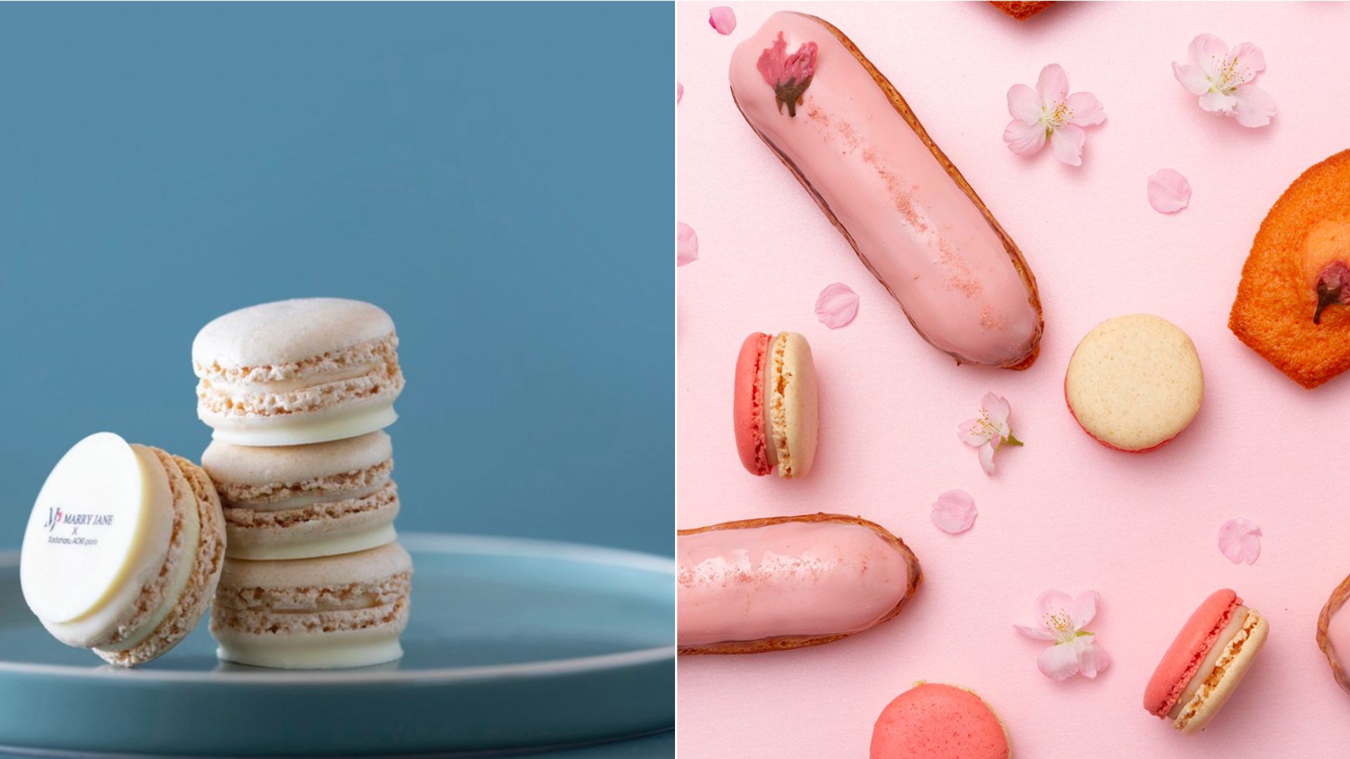 Where to taste the best macaroons in Paris?