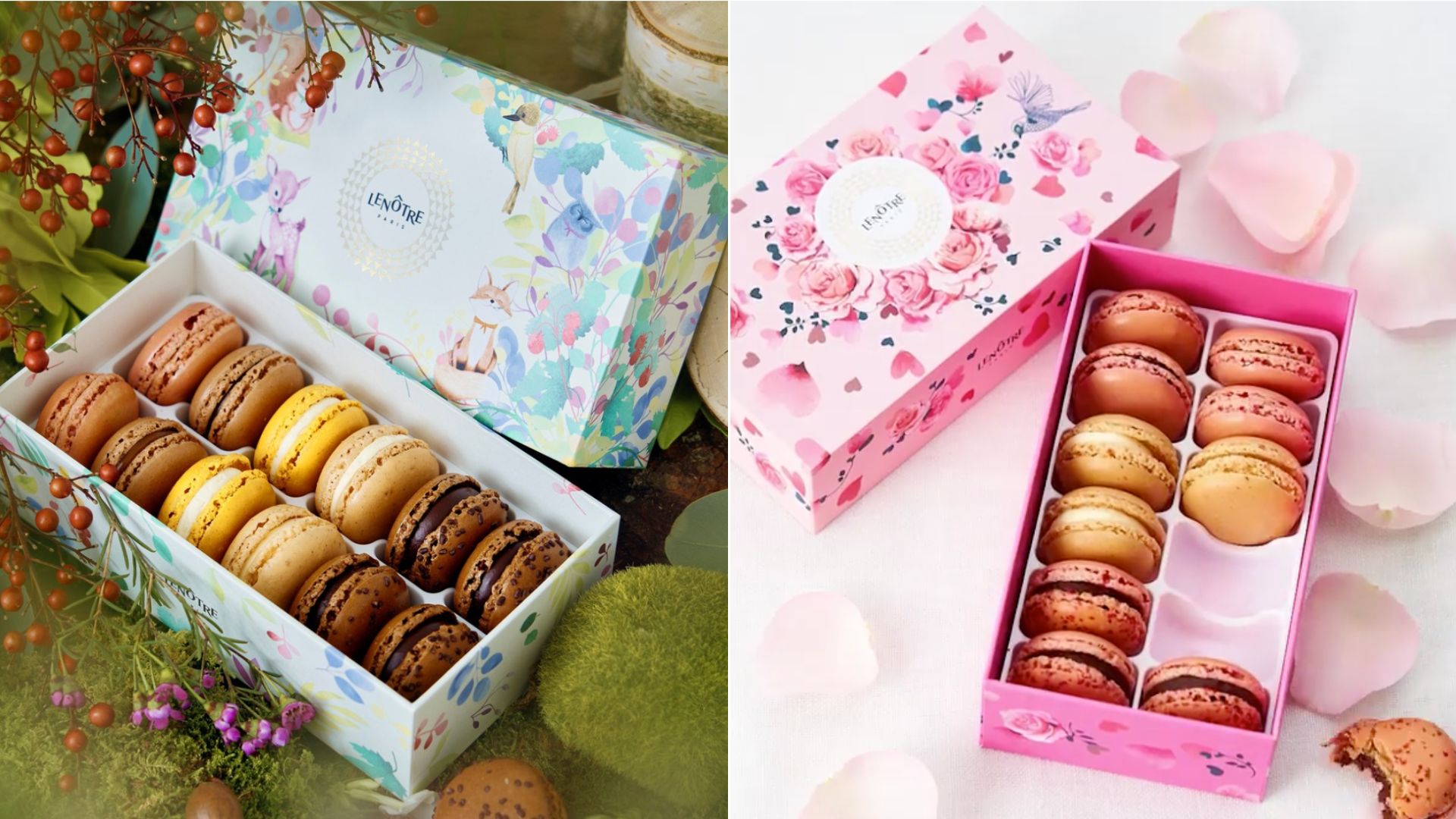 Where to taste the best macaroons in Paris?
