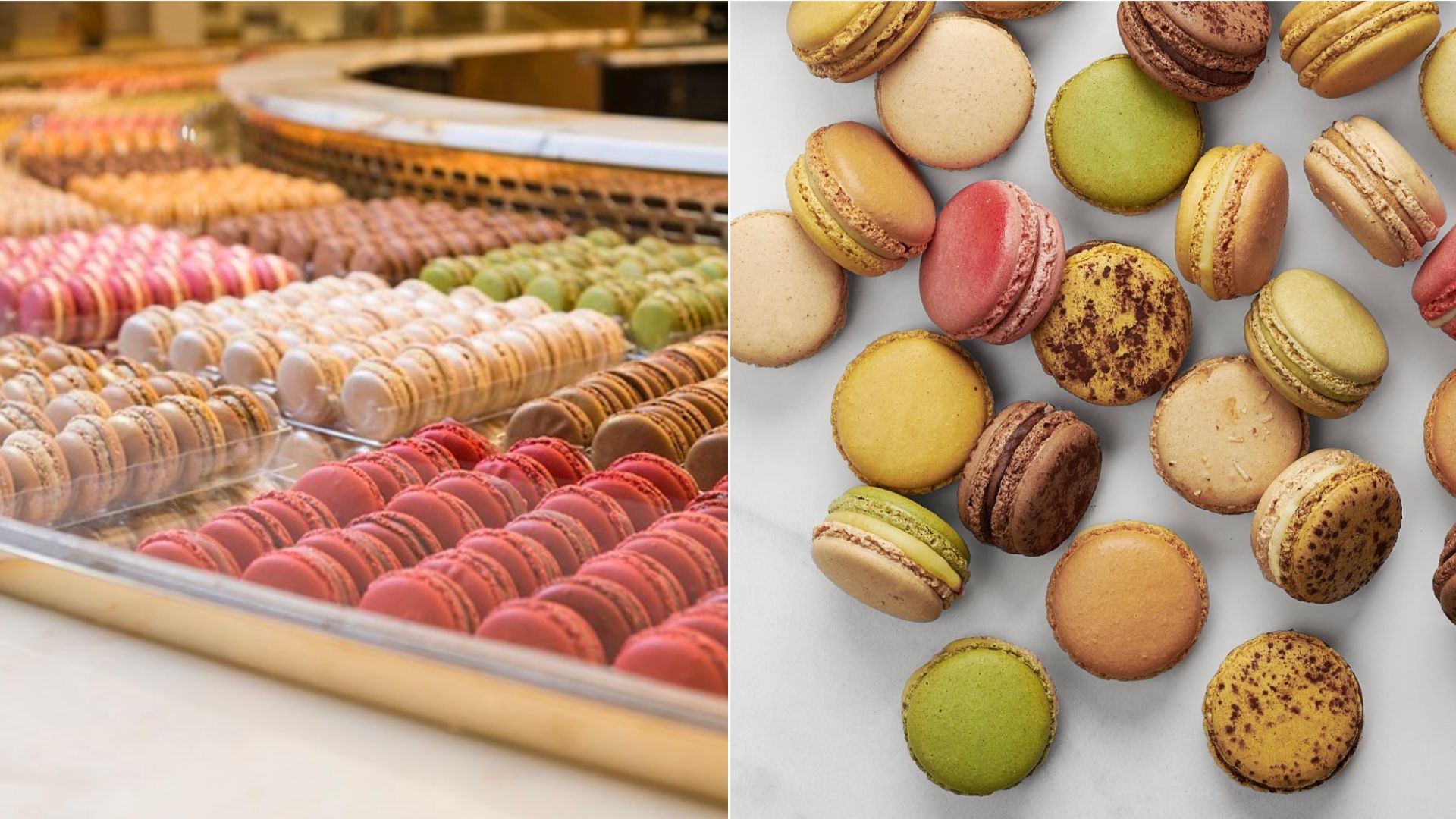 Where to taste the best macaroons in Paris?