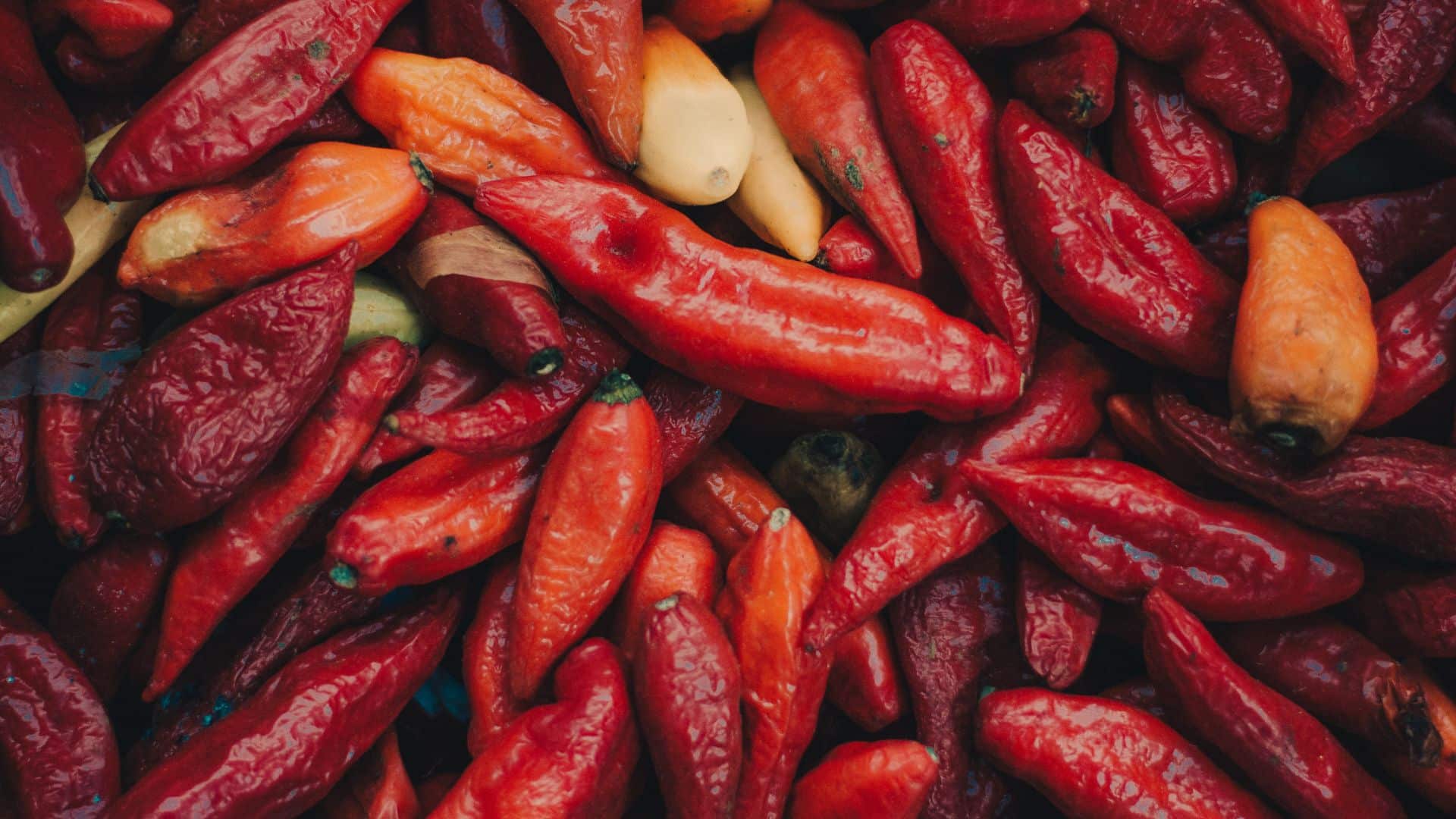 Un festival explosif et gratuit dédié au piment débarque à Paris ...