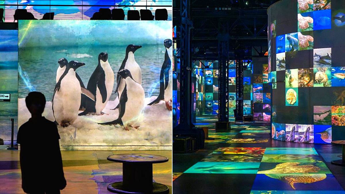 Immersive Exhibition, Experience... The Best To Try In Paris!