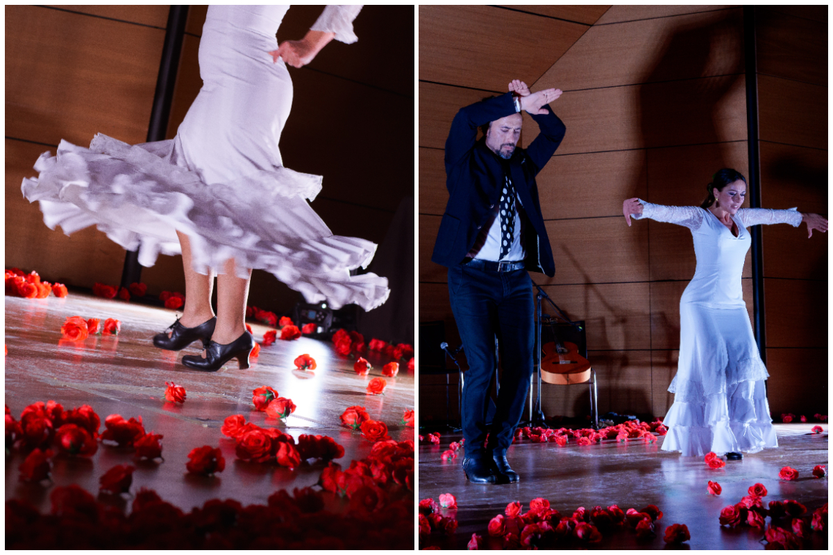 We Call It Flamenco in Paris: A Spanish dance show