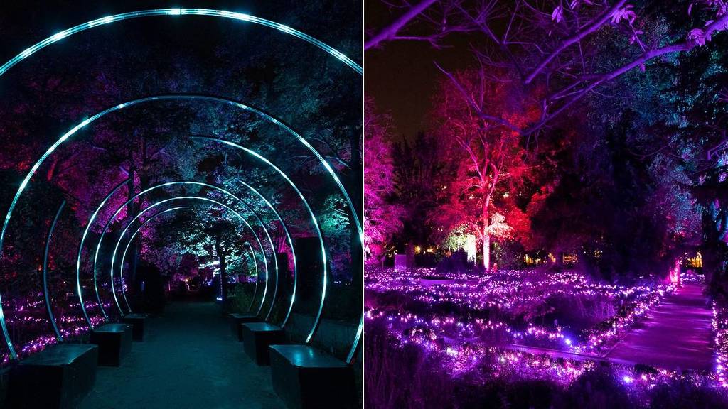 L’Art dans la Nature : un parcours lumineux dans l’univers de Dalí